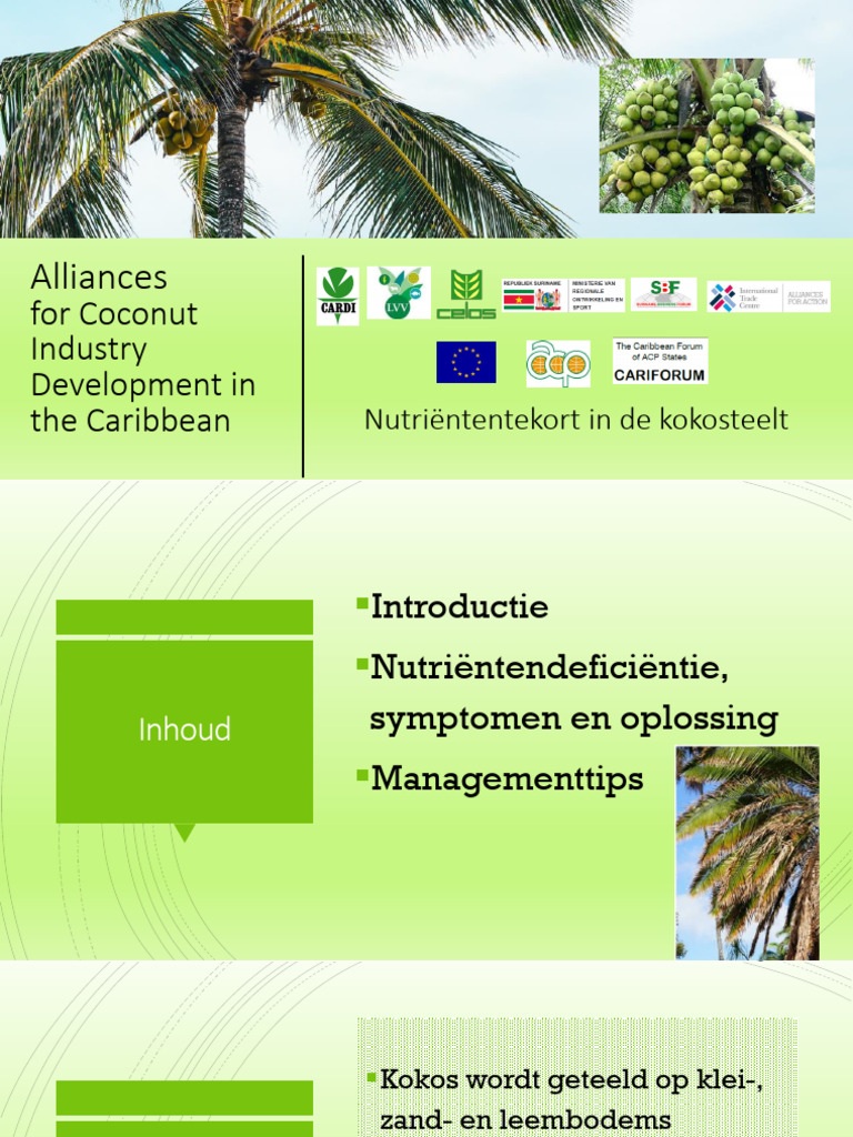 Coconut Deficiencies en Oplossingen | PDF