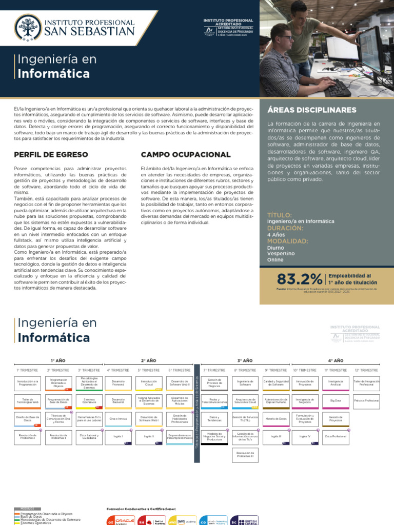 Malla-Ing_Informatica_2024 | PDF | Software | Ingeniería de software
