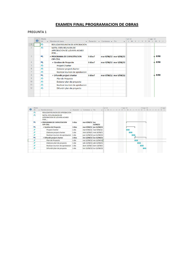 Examen Final Programacion de Obras | PDF | Ingeniería estructural | Materiales de construcción