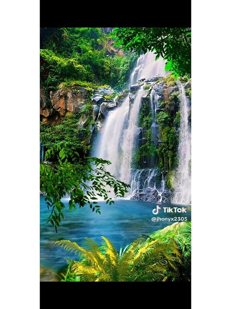 Screenshot_20241202-191033 | PDF