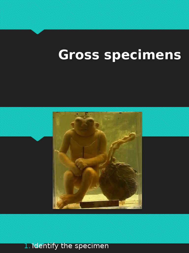Medical Specimen Analysis Guide | PDF