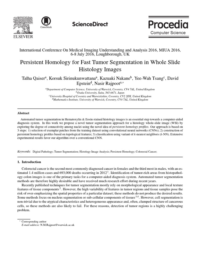 TumorSegmentation | PDF | Image Segmentation