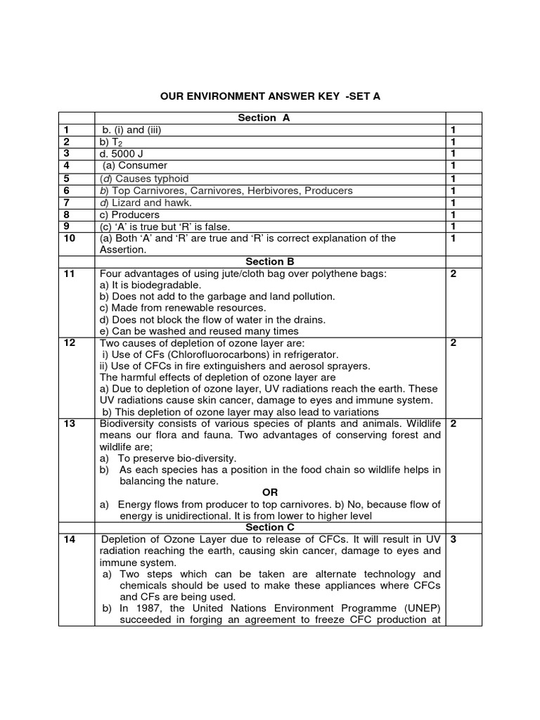 Environment Answer Key - Set A | PDF | Food Web | Plants