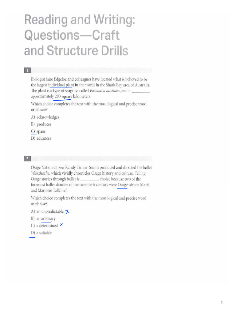 Reading & Writing Practice | PDF