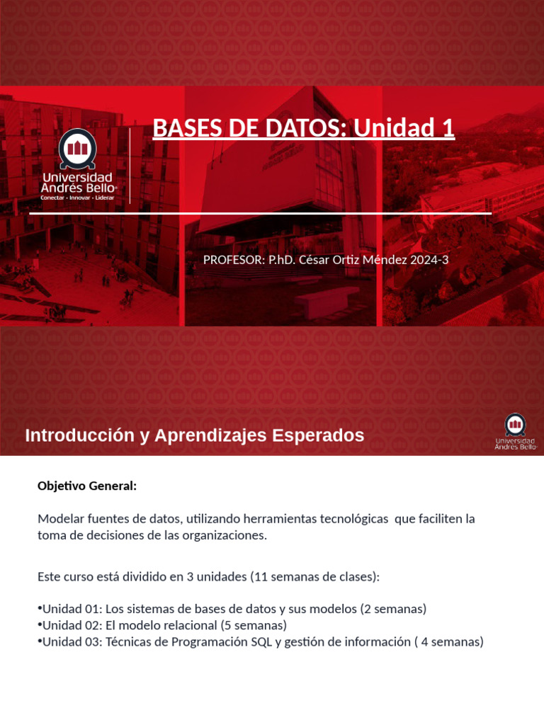 ppt clase 1 y 2 Unidad 1 Bases de datos (1) | PDF | Objeto (informática) | Bases de datos