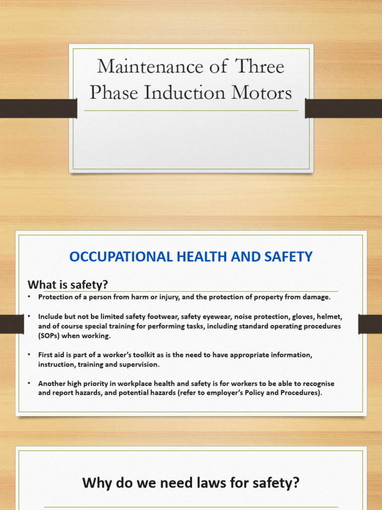 Maintenance of Three Phase Induction Motors | PDF | Electric Motor | Insulator (Electricity)