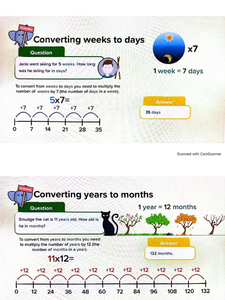 11 Plus (Time) | PDF