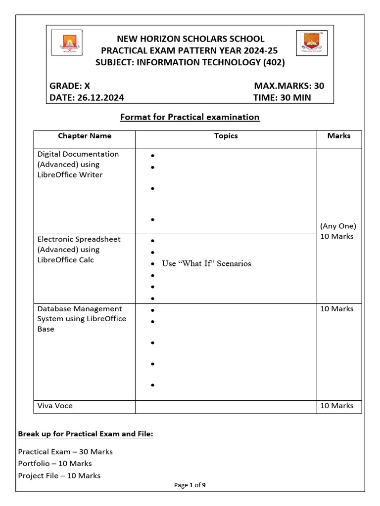 Grade10 PracticalFormat Instructions 2024 25 | PDF | Spreadsheet | Application Software