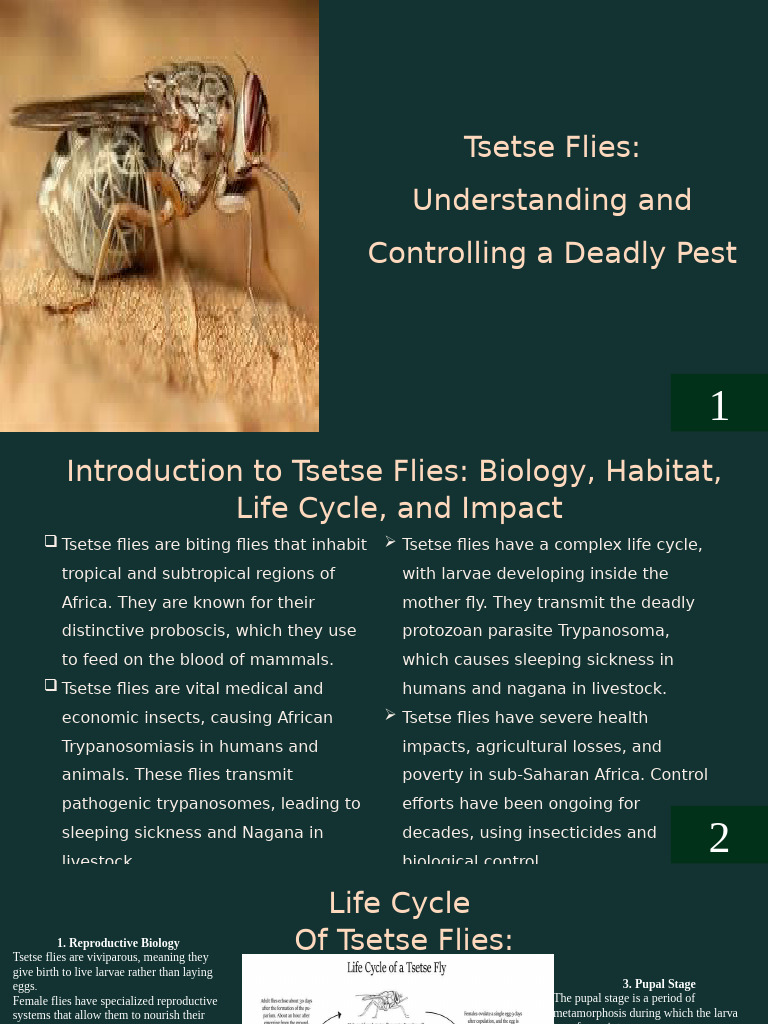 tse tse (1) | PDF | Insects | Insects And Humans