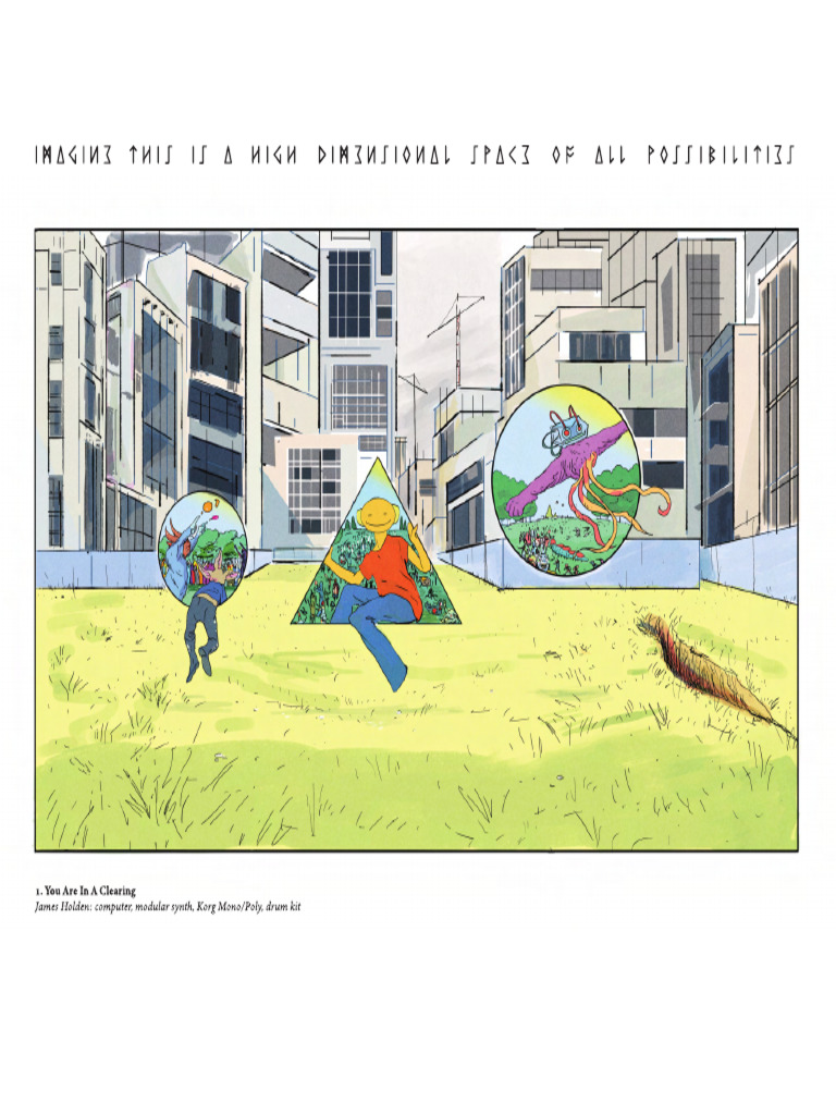 James Holden - Imagine This Is A High Dimensional Space of All ...