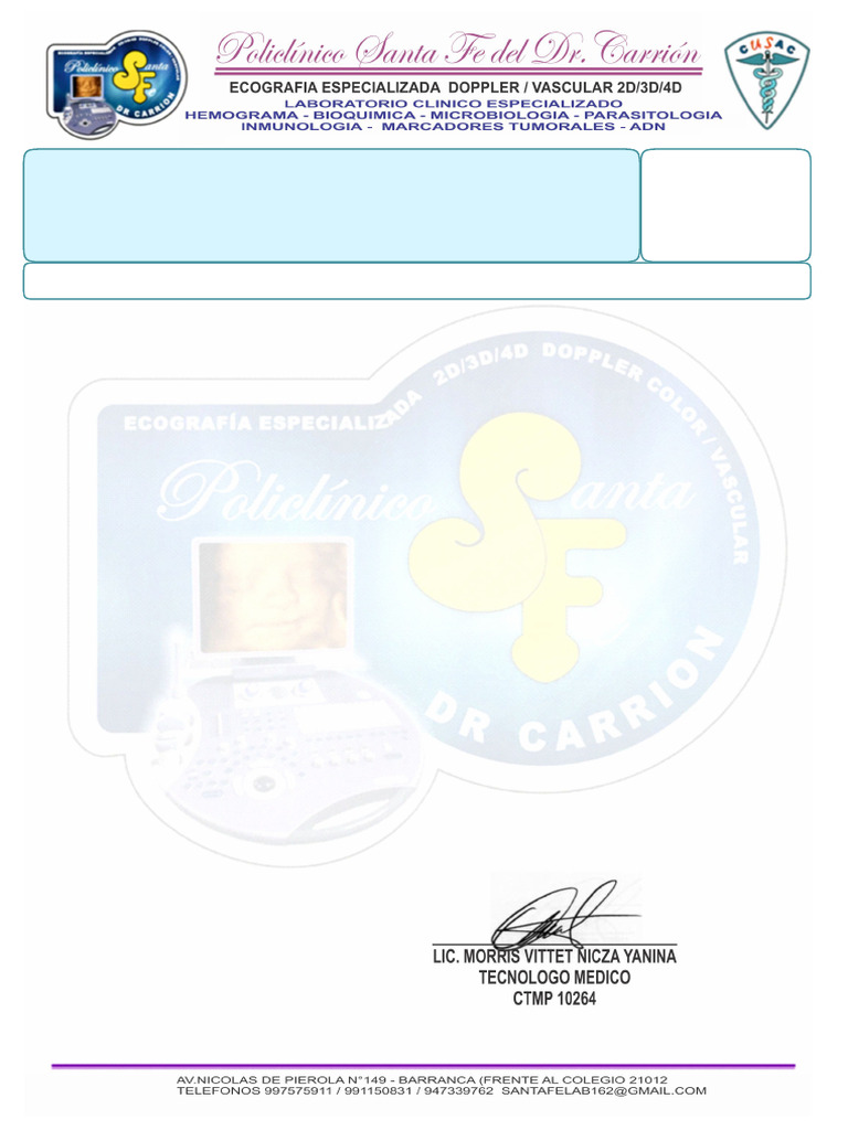 20241123-1-Morales Pajuelo Paulina | PDF