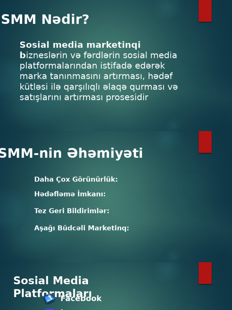 SMM Təlimi Presentation | PDF