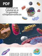 Mapas Mentais Sobre CITOLOGIA - Study Maps | PDF | Célula (Biologia) | Citoplasma