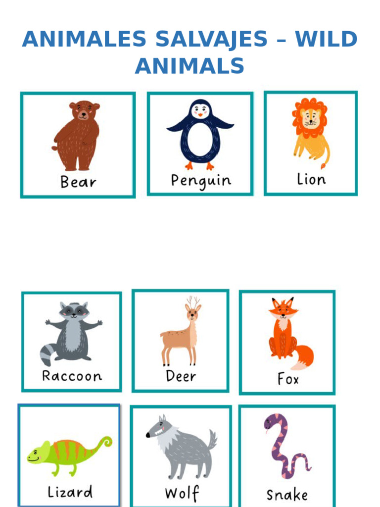 Animales Salvajes | PDF