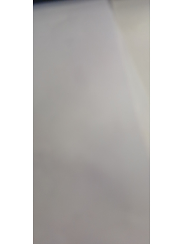 20241223_1618091 | PDF