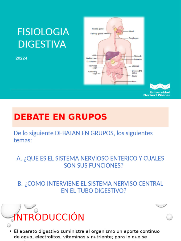 Morfo II Gastro Funciones Secretoras y Hormonas 2022 1 | PDF | Estómago | Bilis
