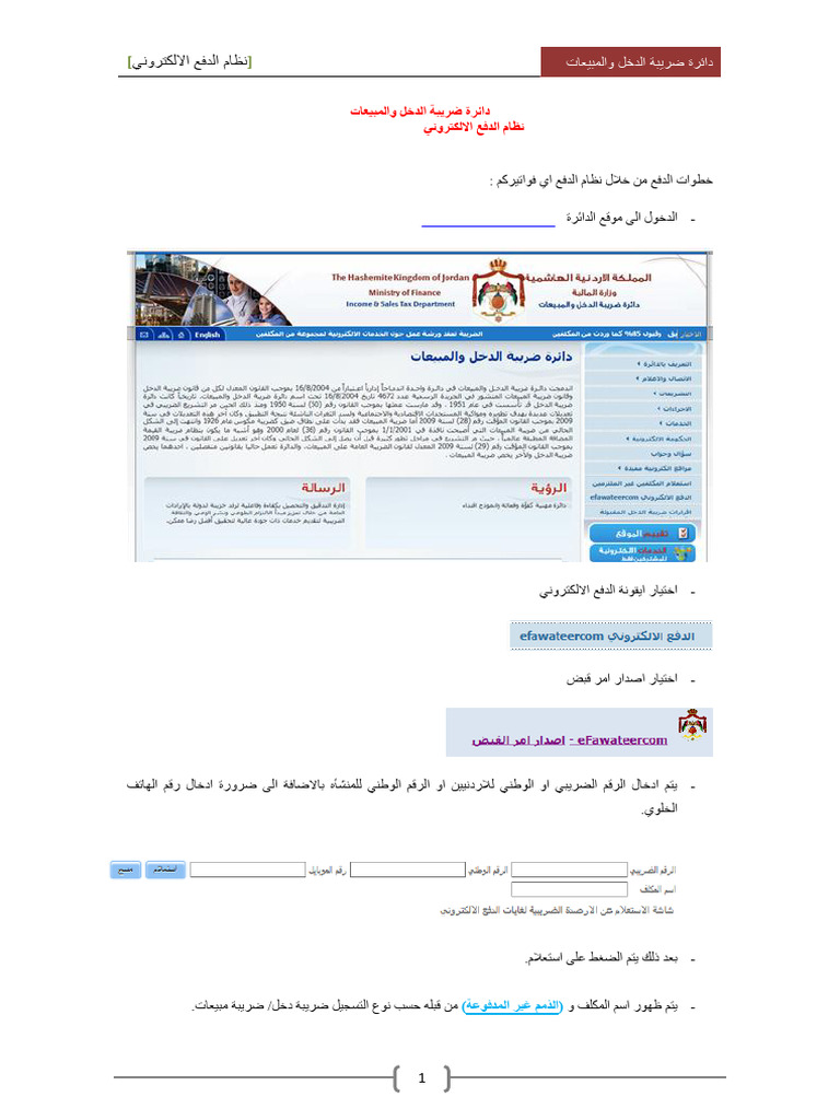 Electronic Payment Guide | PDF