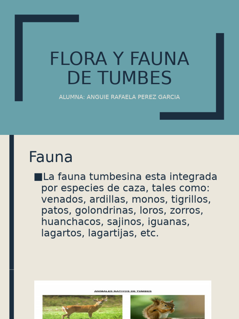 Fauna y Flora de Tumbes: Especies Clave | PDF