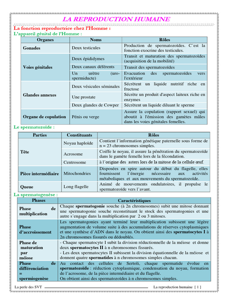 Reproduction humaine : mécanismes et hormones | PDF | Reproduction ...