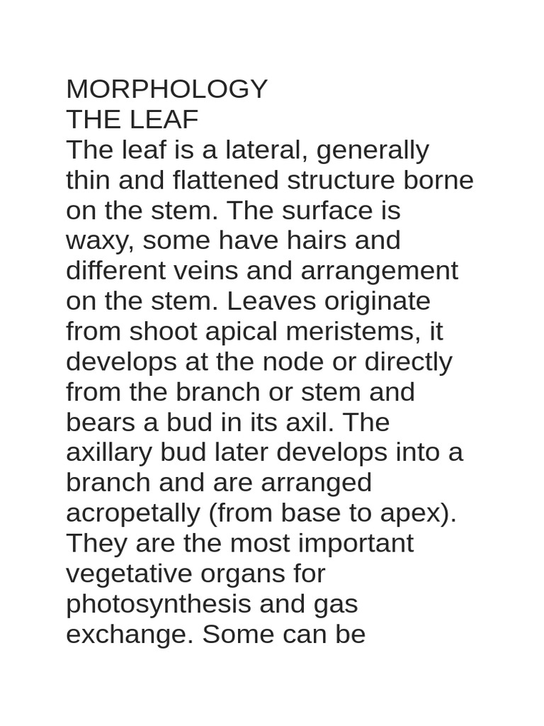 Morphology 6 | PDF | Leaf | Plants