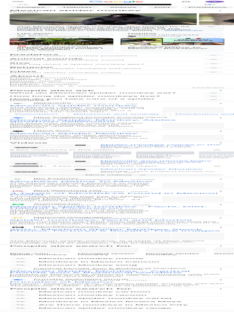 Mexican Monkey - Google Search | PDF | Monkey | Zoology