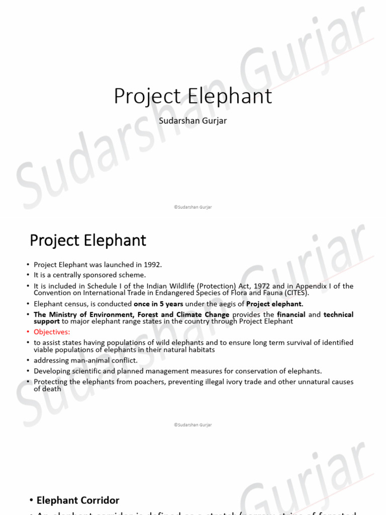 Project Elephant | PDF | Elephant | Cites
