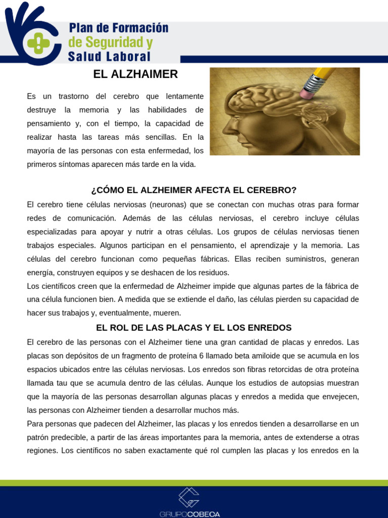 2- El ALZHAIMER | PDF | Enfermedad de Alzheimer | Cerebro