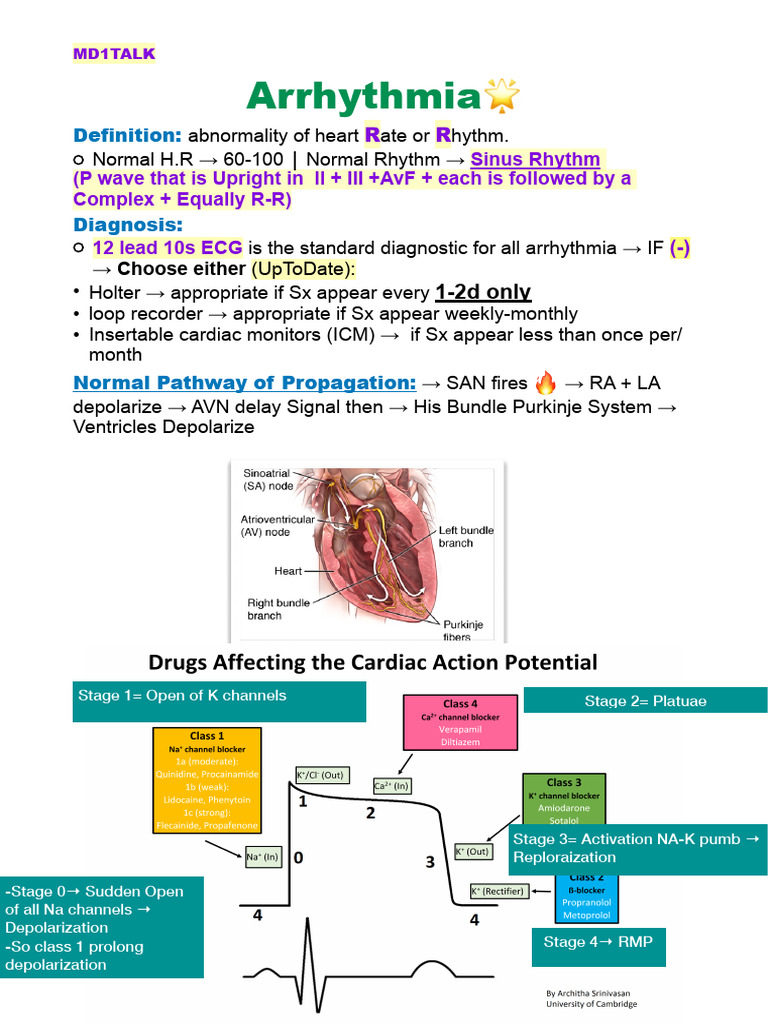 Understanding Arrhythmias: Diagnosis & Management | PDF | Internal ...