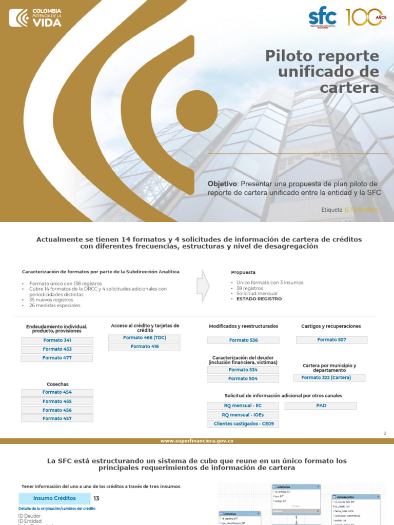 Piloto Reporte de Cartera - Entidades | PDF | Archivo de computadora | Informática