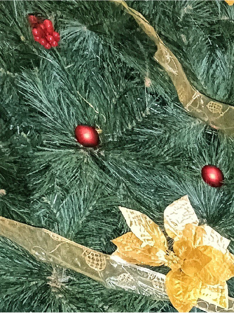 PDFReader 20241224 021t | PDF