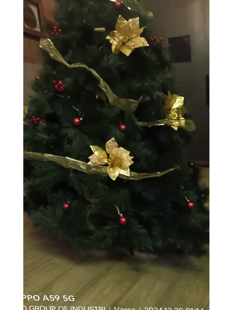 PDFReader 20241224 0211 | PDF