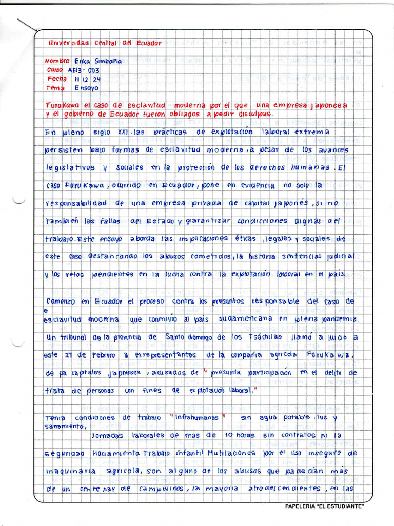 Ensayo FURUKAWA Erika Simbaña AE2 - 003 | PDF