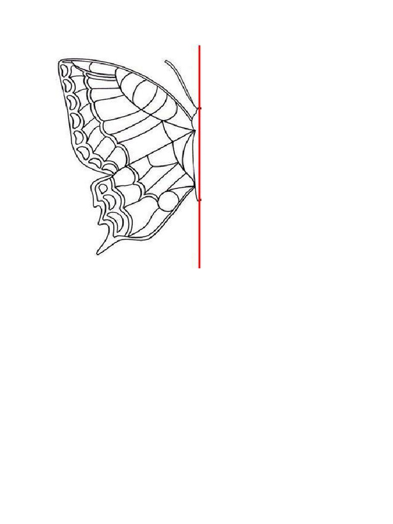 mariposa simetrica | PDF