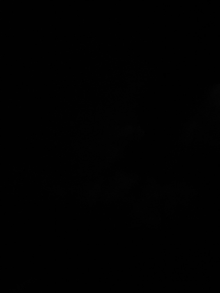 Digitalizado 20241223-1750 | PDF