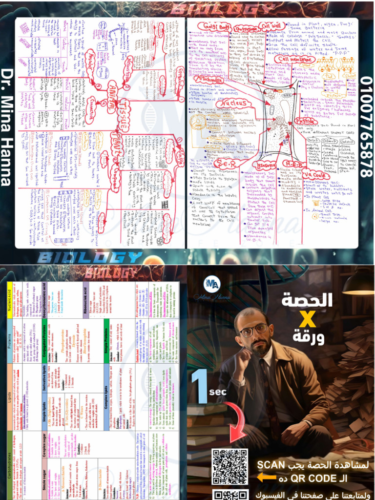 ملخص شرح المنهج في ورقة | PDF