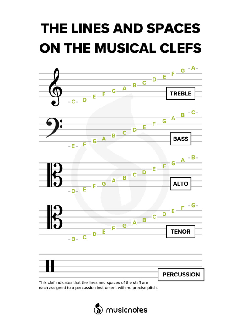 Guides THE LINES AND SPACES ON THE MUSICAL CLEFS | PDF