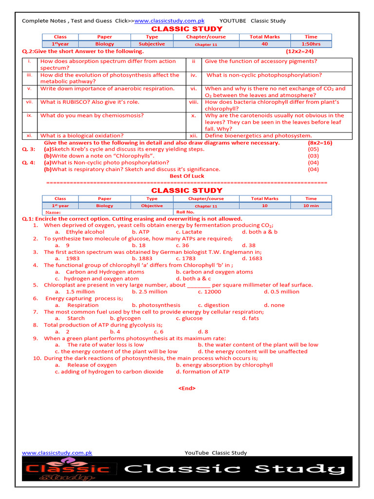 1st Year Bio CH 11 | PDF | Photosynthesis | Cellular Respiration