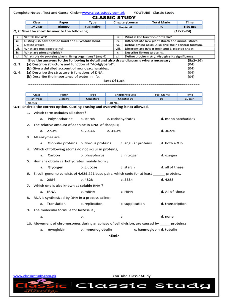 1st Year Bio CH 2 | PDF | Proteins | Rna
