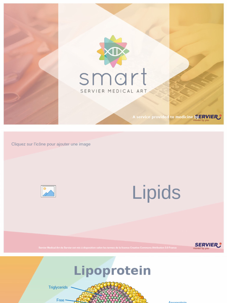 Lipidos | PDF | Molécules à membrane active | Lipide