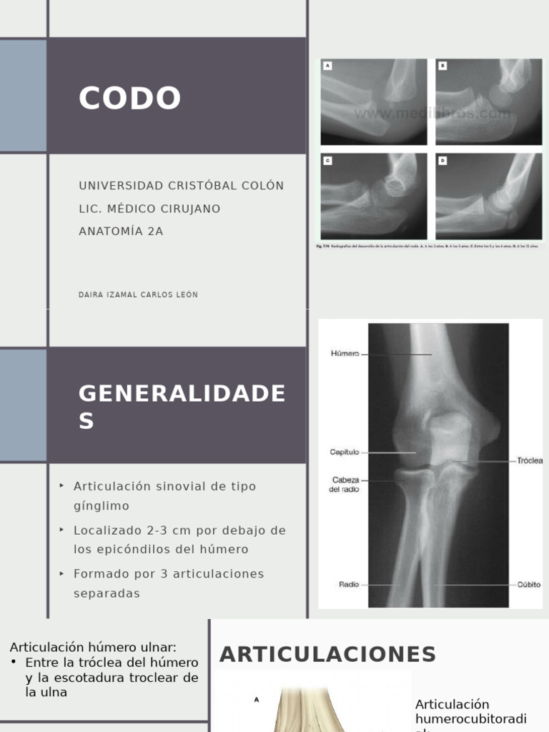 Anatomía del Codo: Estructura y Función | PDF | Articulación | Codo