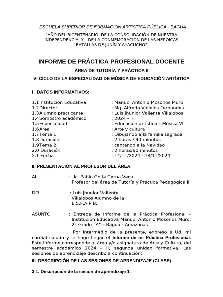 Informe de Practica Profesional Ronny | PDF | Aprendizaje | Evaluación