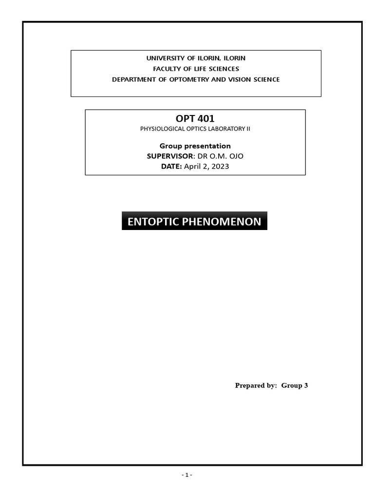 Entoptic Final 3 | PDF | Human Eye | Ophthalmology