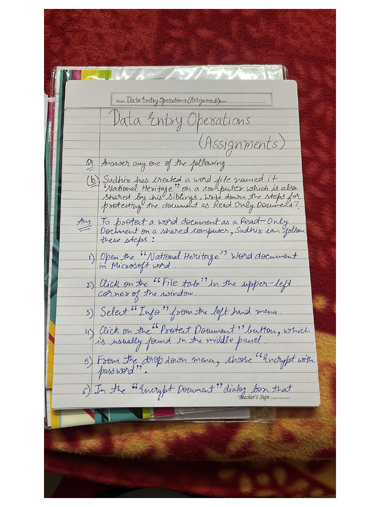 Data Entry Assignment | PDF