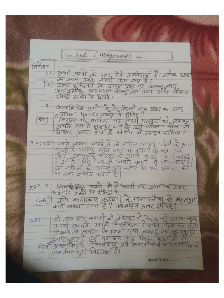 Hindi Assignment | PDF