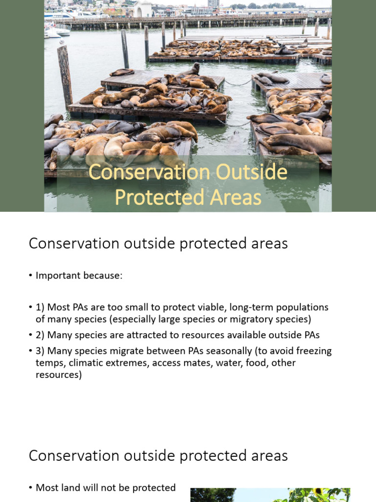 10 - Conservation Outside Protected Areas | PDF | Conservation Biology ...