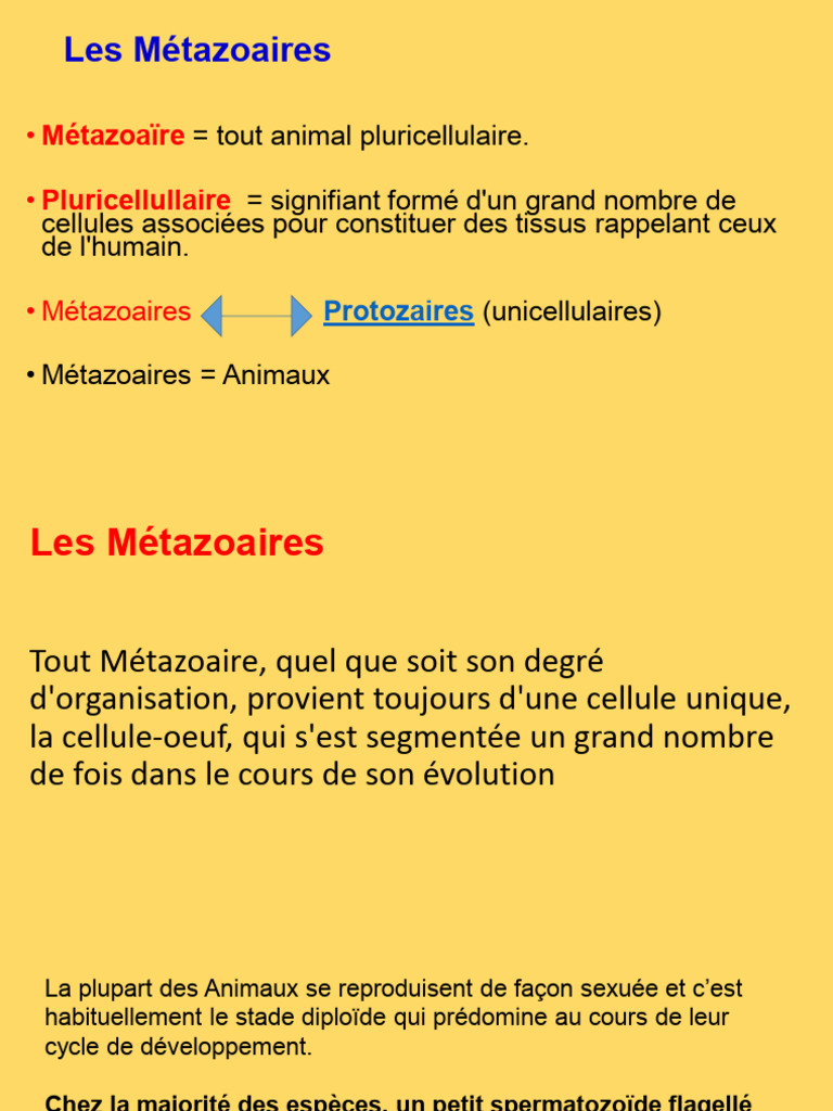 Définition et classification des métazoaires | PDF | Anatomie | Biologie
