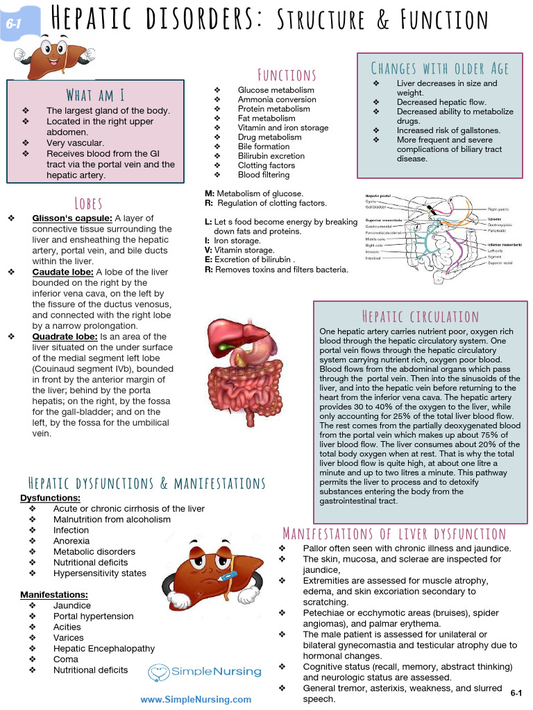 Hepatic Disorders | PDF | Liver | Cirrhosis