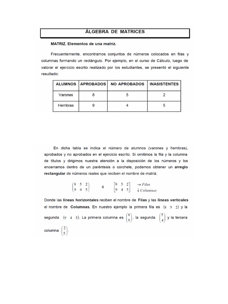 Álgebra de Matrices | PDF