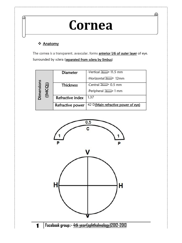 Cornea | PDF | Cornea | Contact Lens