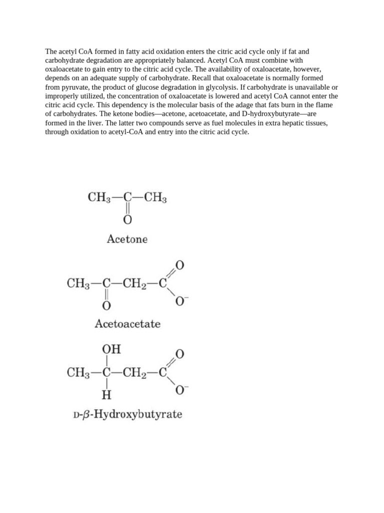 The Acetyl CoA Formed in Fatty Acid Oxidation Enters The Citric Acid ...